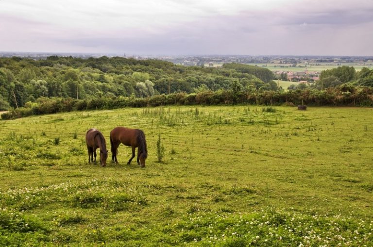Northern France - Recommended Route Through Coastal Towns, Tourist ...