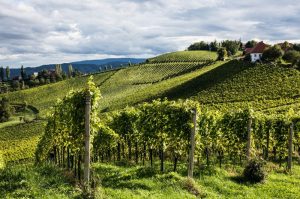 Styria | Ultimate Guide Through Ski Resorts, Medieval Castles & Thermal ...