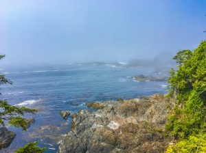 Pacific Rim: Comprehensive Travel Route | West Coast Guide 2026 ...