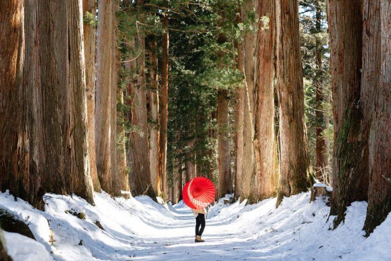 Japan in December: 2026 Route | Tokyo, Kyoto & Hokkaido in Winter ...