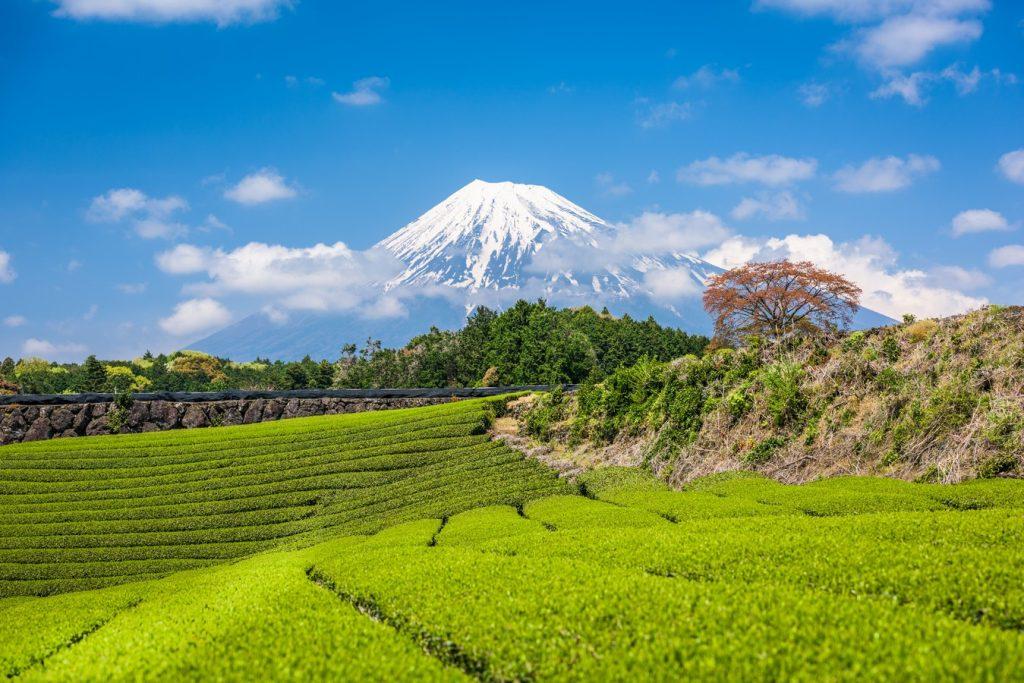 Japan Nature Tours: Routes in Kyoto, Japanese Alps & Hokkaido 2026 ...