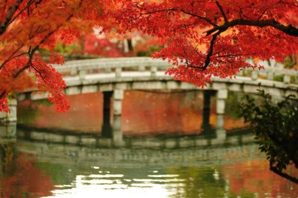 Japan in October - Recommended Route, Festivals & Weather 2026 ...