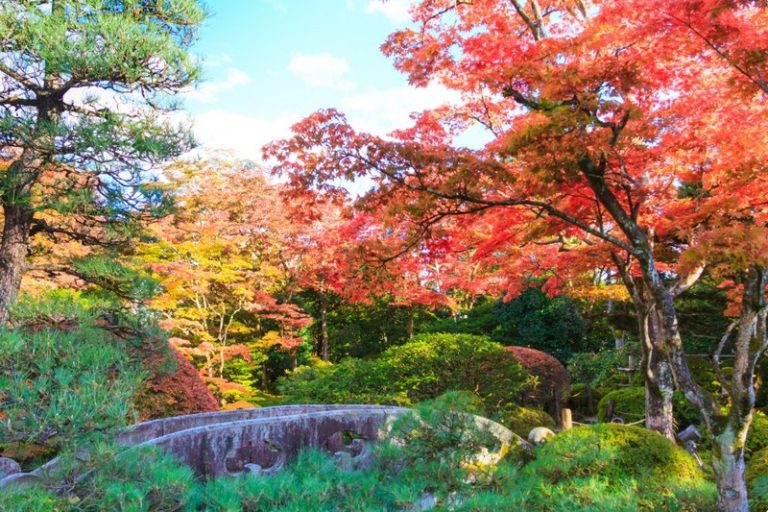 Japan in October - Recommended Route, Festivals & Weather 2026 ...