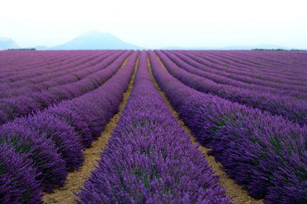 France in Summer 2026 - Recommended Route: Paris, Provence & South ...