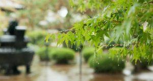 Japan in June - Expert Guide to Kyoto & Tokyo Routes | Weather ...