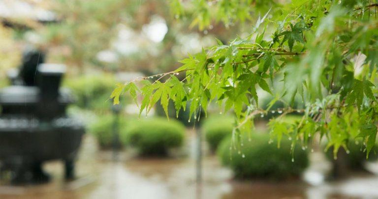 Japan in June - Expert Guide to Kyoto & Tokyo Routes | Weather ...