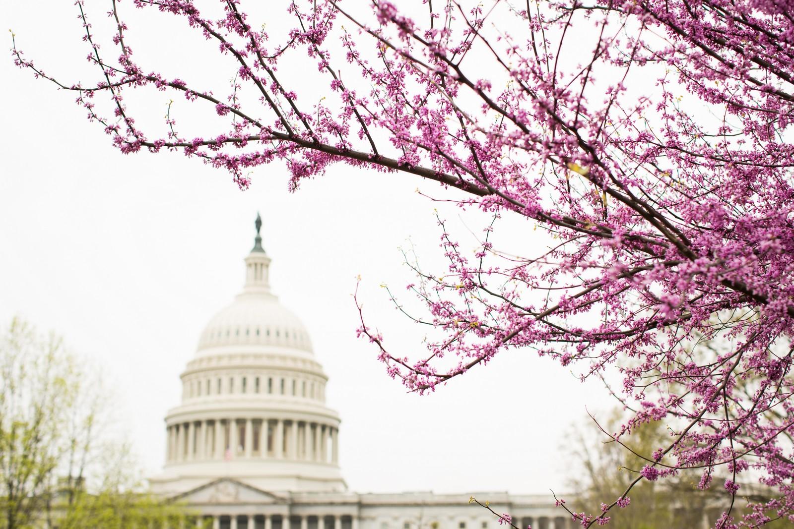 USA in April - Complete Guide: Weather, Festivals & Top Attractions ...