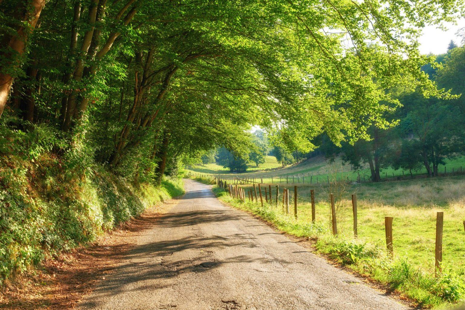 France in Spring - Recommended Route in Paris, Provence & French ...