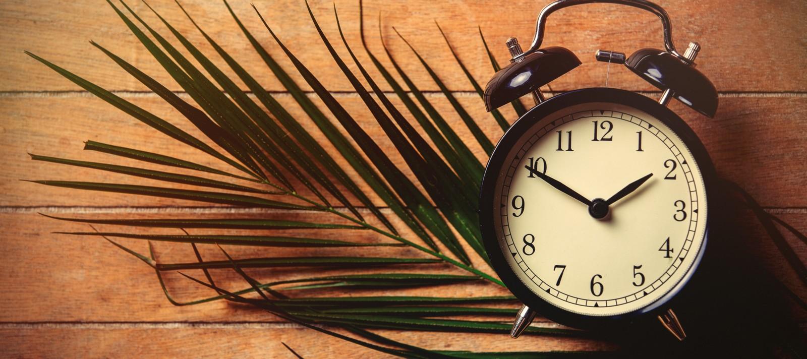 Local Time in Amsterdam, Netherlands - Live Clock 2026 - Itinerary Expert