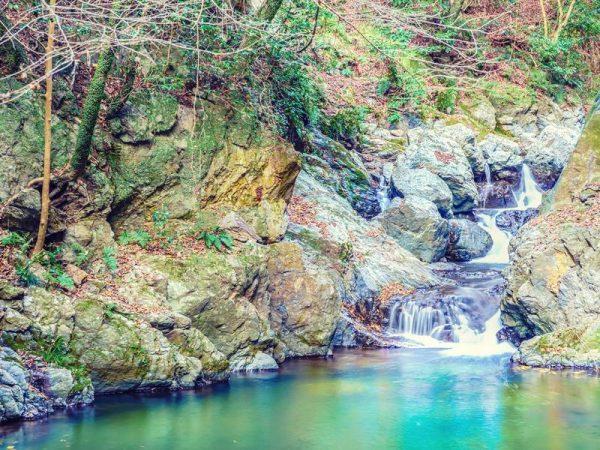 Minoo Park Itinerary - planning your trip to Minoo Park 2025 ...