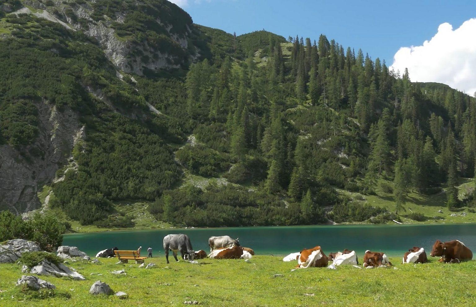 Tyrol Region – Recommended Itinerary in Austria 2026: The Complete ...